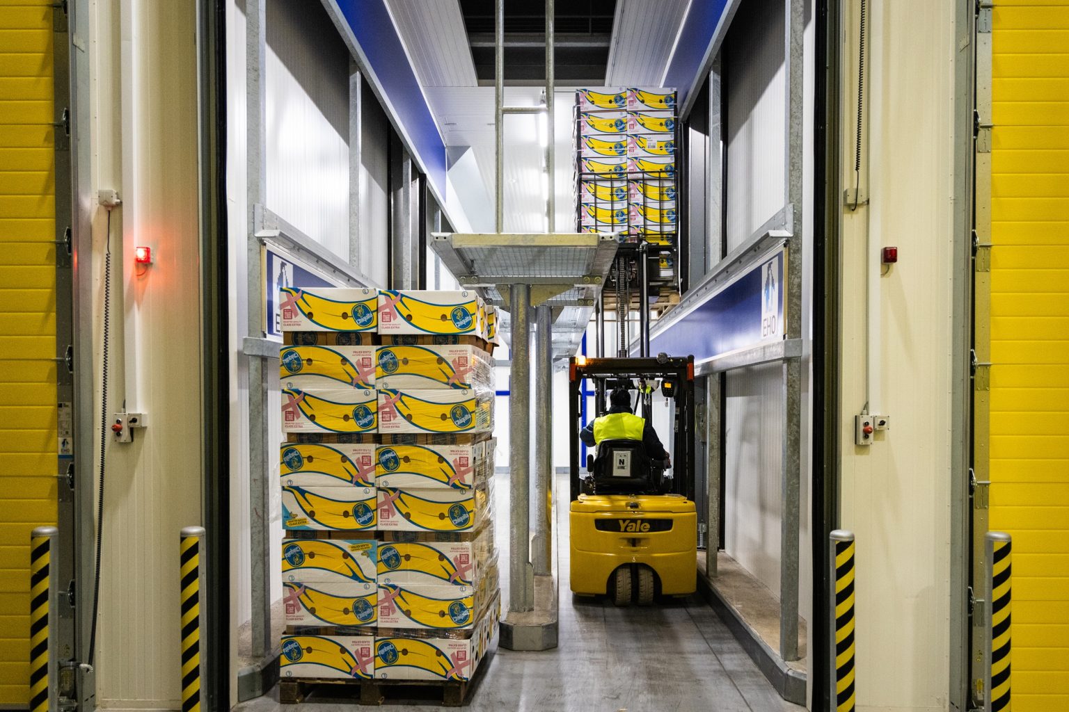 Forklift Fleet Keeps Chiquita Fruit Fresh - Logistics News