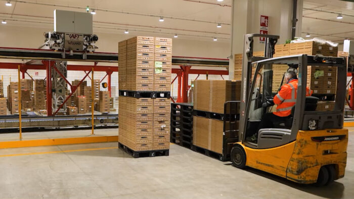 New Circular Pallet for Sustainable Logistics - Logistics News